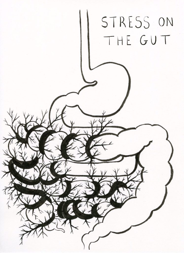 Improve your health by reducing stress and getting more sleep - Clever Guts